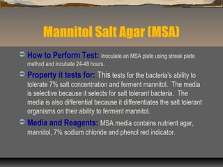 Media and biochemical tests | PPT