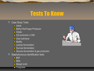 Media and biochemical tests | PPT