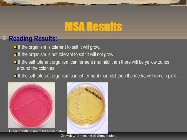 Media and biochemical tests