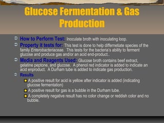 Media biochemical tests | PPT