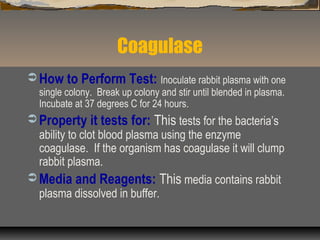 Media biochemical tests | PPT