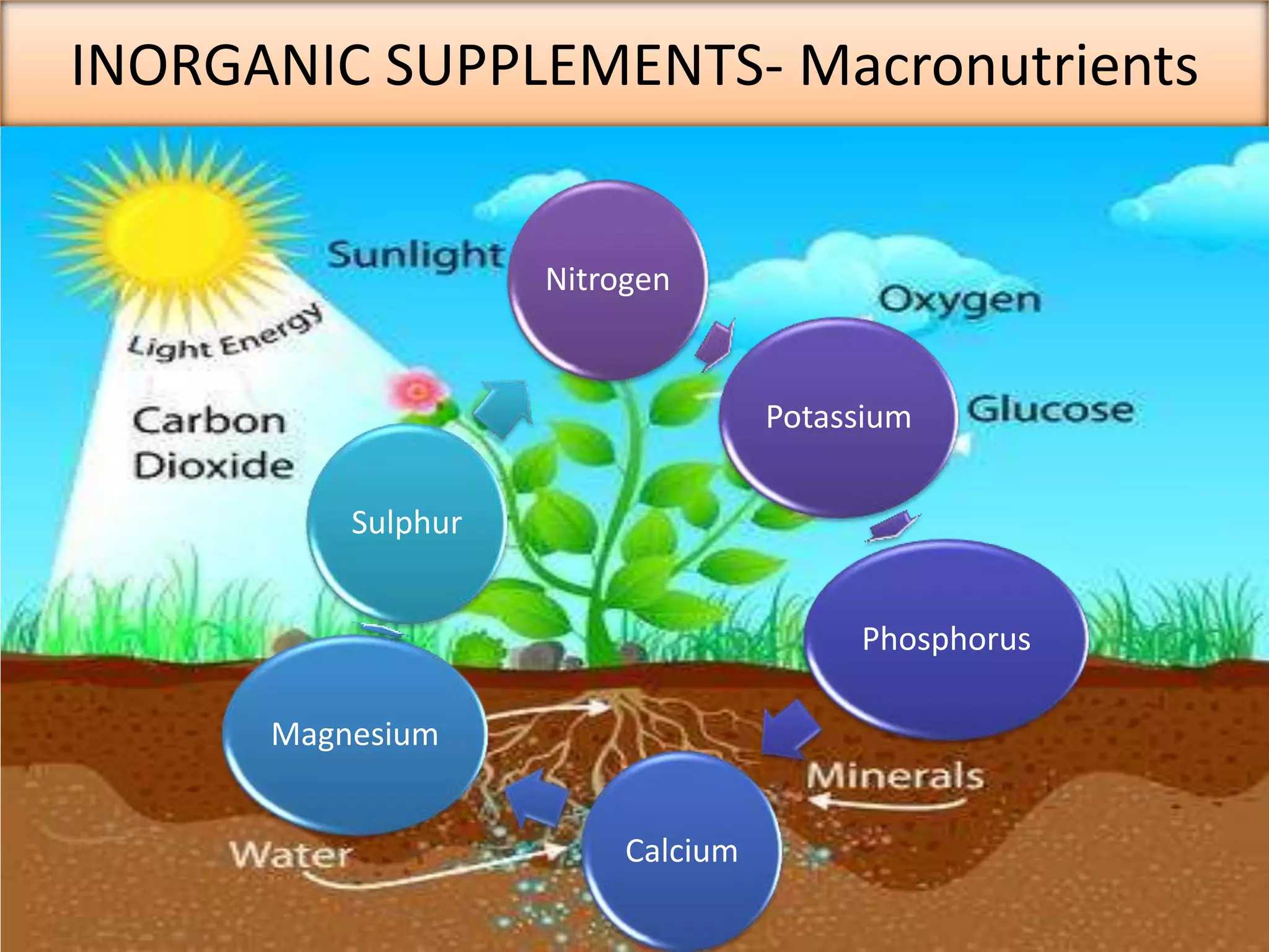 Media composition and preparation | PPTX