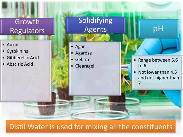 Media composition and preparation | PPTX