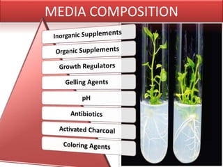 Media composition and preparation | PPTX