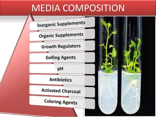 Media composition and preparation