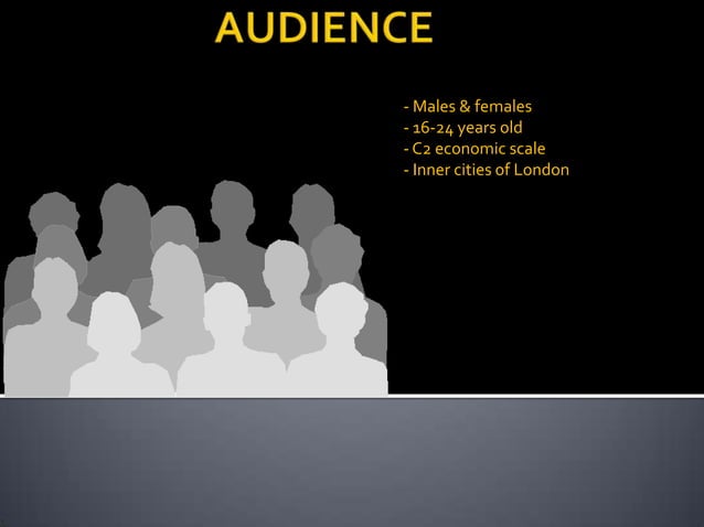 Media Evaluation | PPT