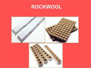 Media dan jenis tanaman hidroponik | PPT