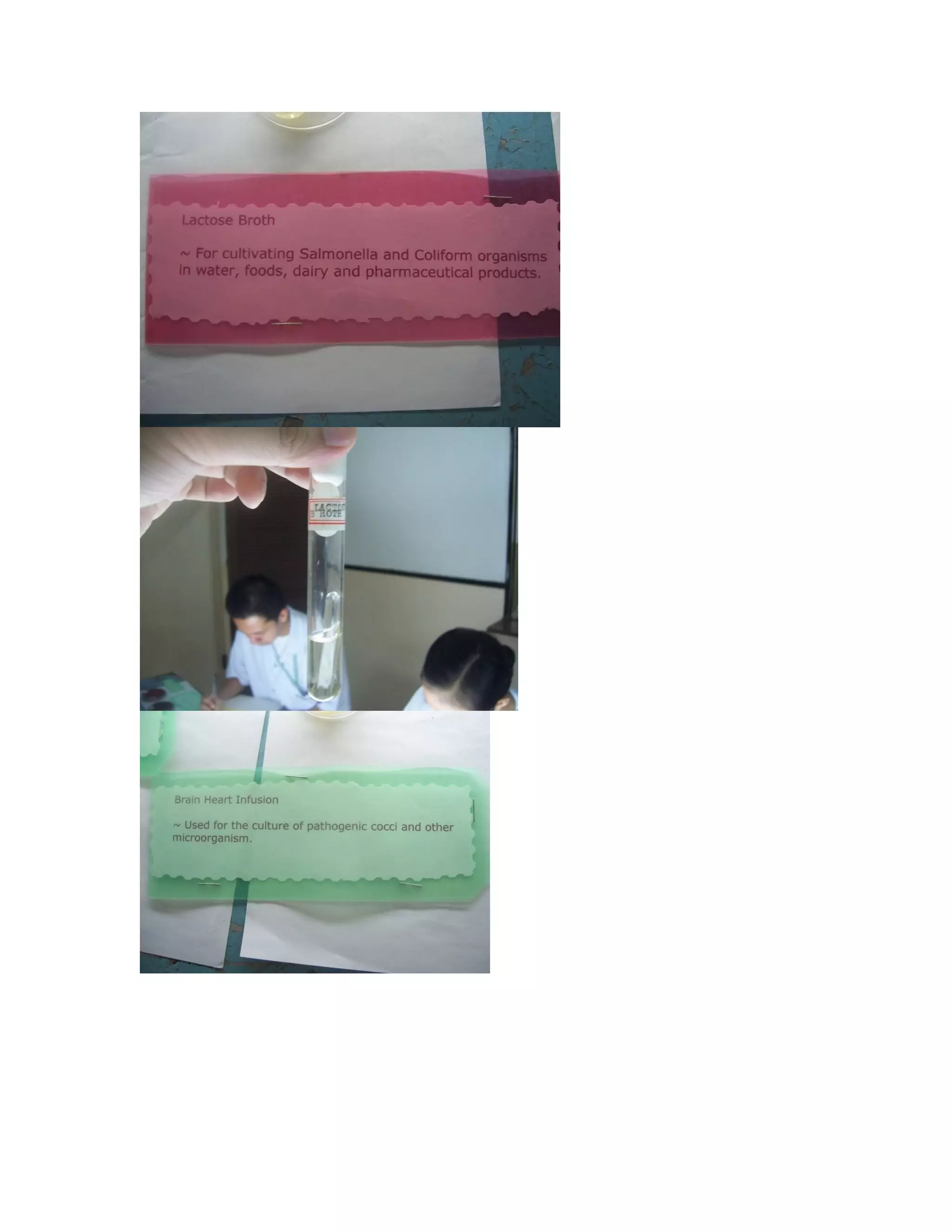 Gambar Media dan reagensia bakteriologi | PDF