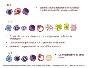 Mediadores De La Inflamación (Citocinas) | PPTX