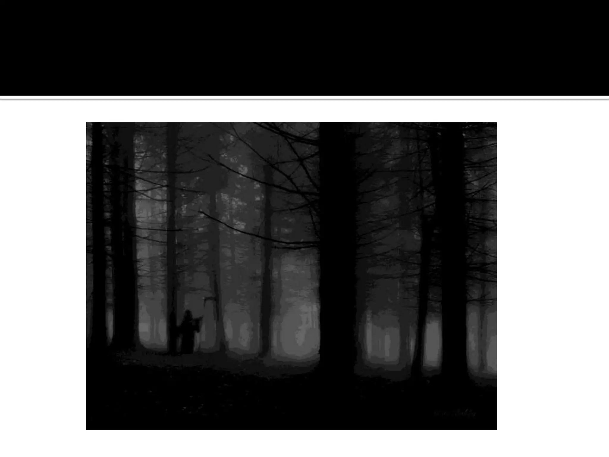 Media forms and conventions | PPT