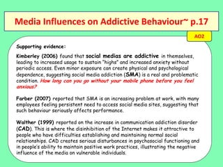 Media influences 2013 | PPT