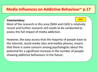Media influences 2013 | PPT