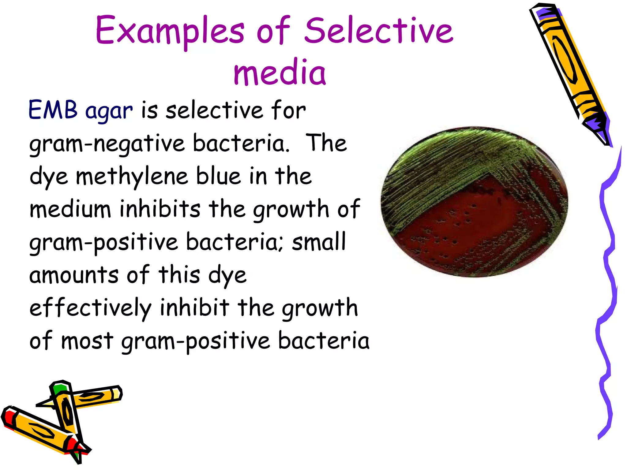 Media in microbiology | PPT | Biological Sciences | Science
