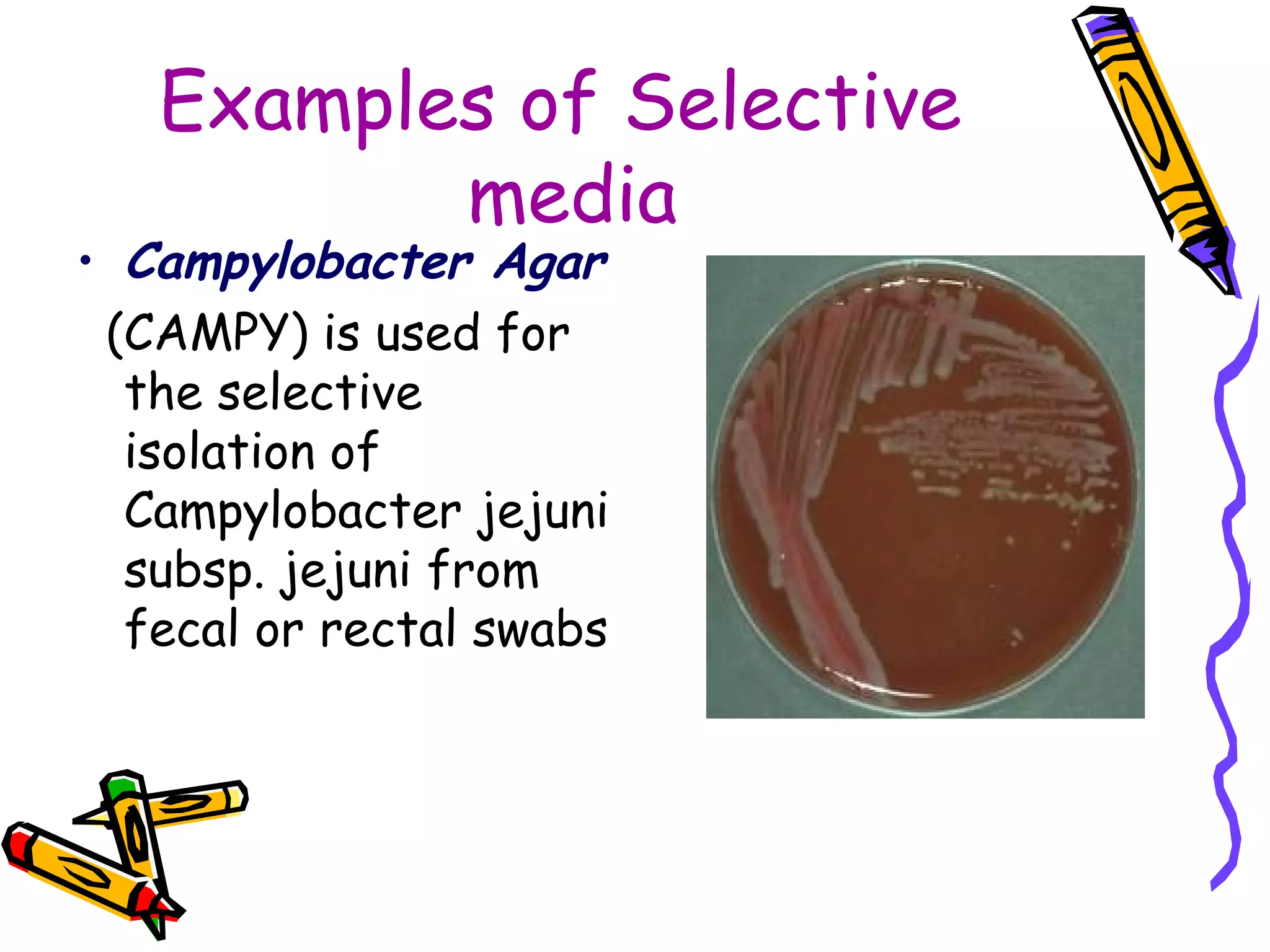 Media in microbiology | PPT