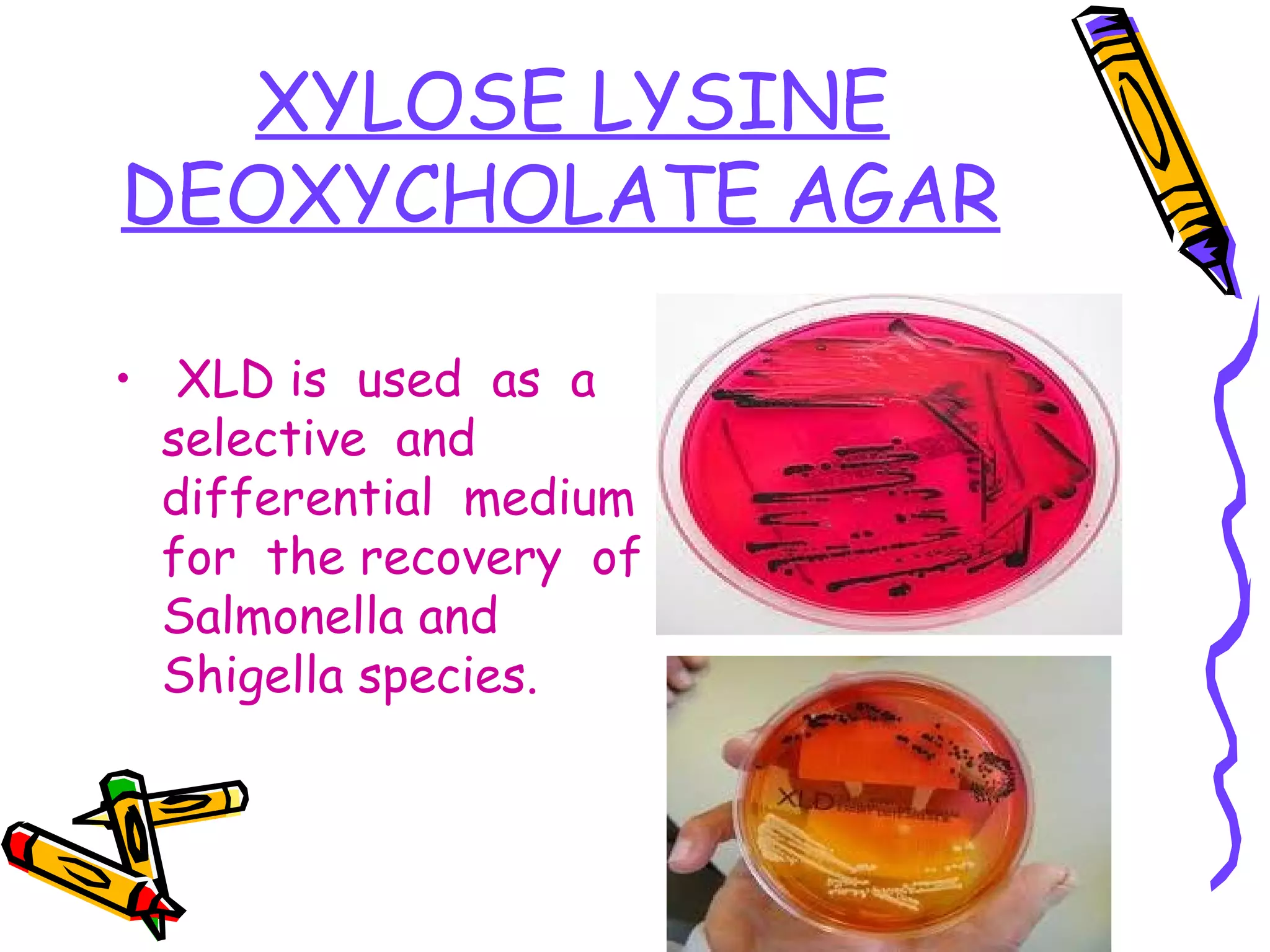 Media in microbiology | PPT