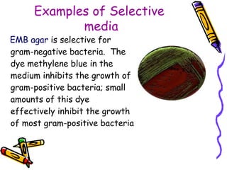 Media in microbiology | PPT