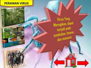 @Media interaktif peranan virus | PPSX