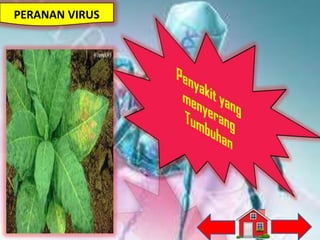 @Media interaktif peranan virus | PPSX