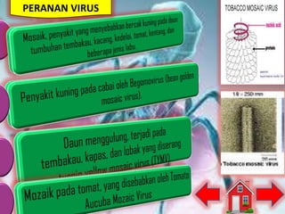 @Media interaktif peranan virus | PPSX