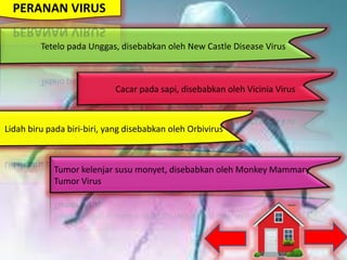 @Media interaktif peranan virus | PPSX