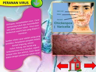 @Media interaktif peranan virus | PPSX