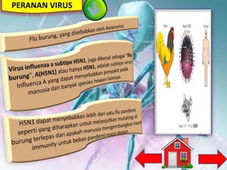 @Media interaktif peranan virus | PPSX