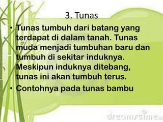 Media ipa | PPT | Free Download