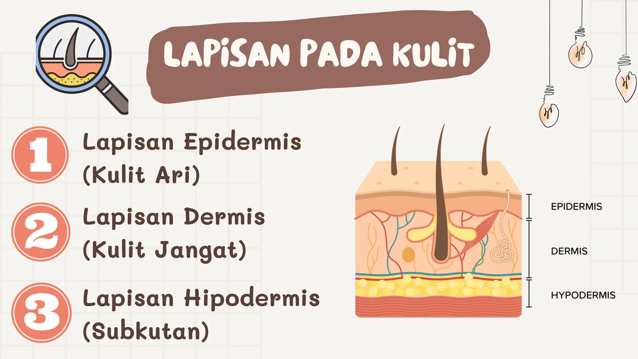 MEDIA SISTEM EKSKRESI KULIT MATA PELAJARAN IPA | PPT