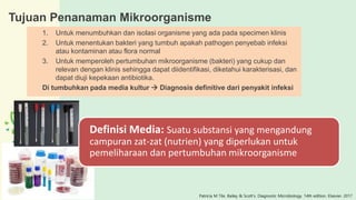 Media kultur | PPT