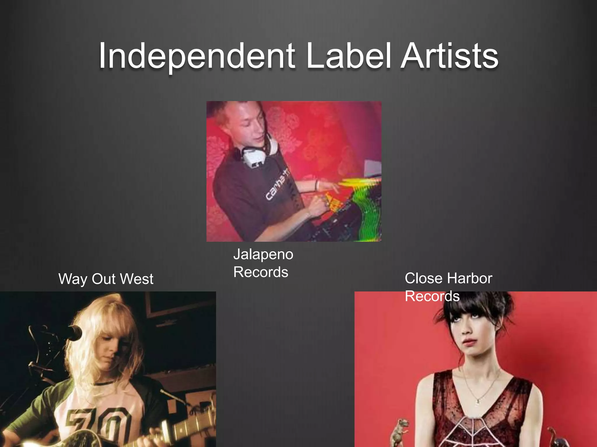 Structure and breakdown of Record Labels | PPTX