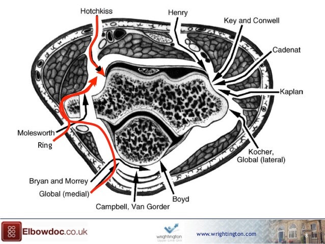 Medial approaches elbow