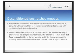 Medial calf muscle rupture | PDF