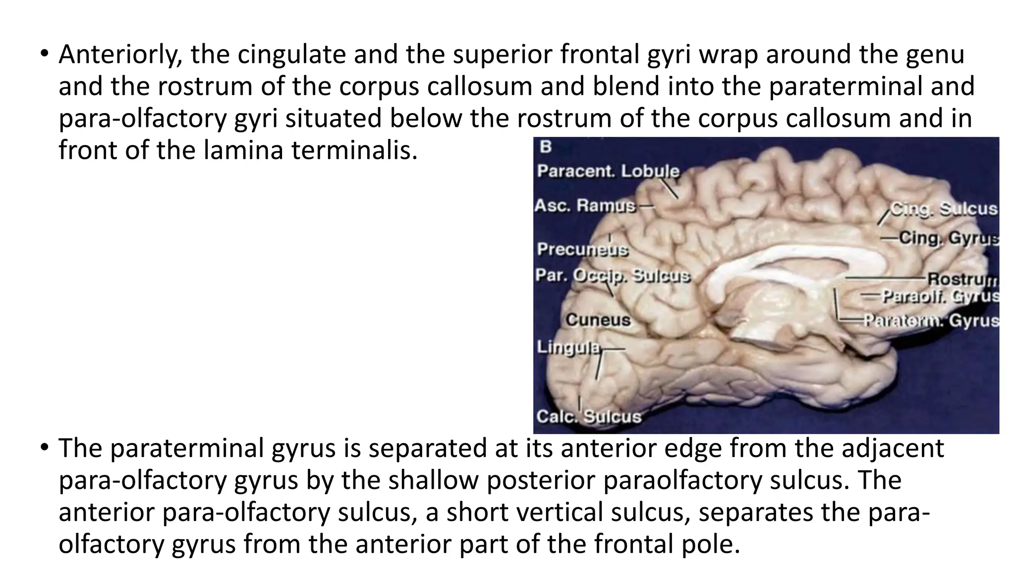 MEDIAL HEMISPHERIC SURFACE.pptx