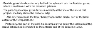 MEDIAL HEMISPHERIC SURFACE.pptx