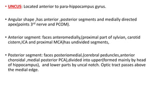 MEDIAL HEMISPHERIC SURFACE.pptx