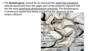 MEDIAL HEMISPHERIC SURFACE.pptx