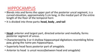 MEDIAL HEMISPHERIC SURFACE.pptx