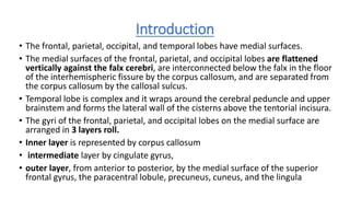 MEDIAL HEMISPHERIC SURFACE.pptx