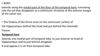 MEDIAL HEMISPHERIC SURFACE.pptx