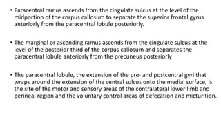 MEDIAL HEMISPHERIC SURFACE.pptx