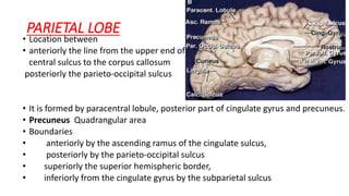 MEDIAL HEMISPHERIC SURFACE.pptx