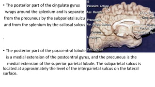 MEDIAL HEMISPHERIC SURFACE.pptx