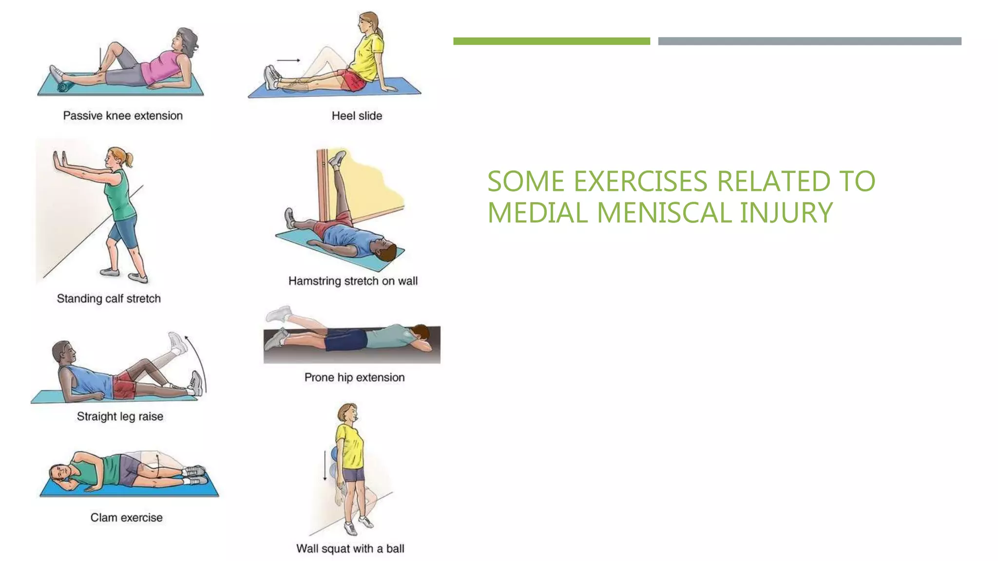 Medial meniscus injury and physiotherapy treatment | PPT