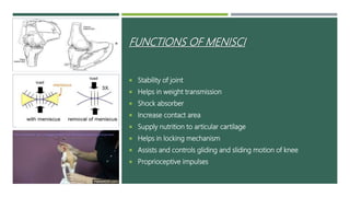 Medial meniscus injury and physiotherapy treatment | PPT