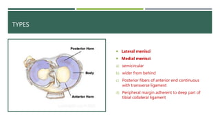 Medial meniscus injury and physiotherapy treatment | PPT