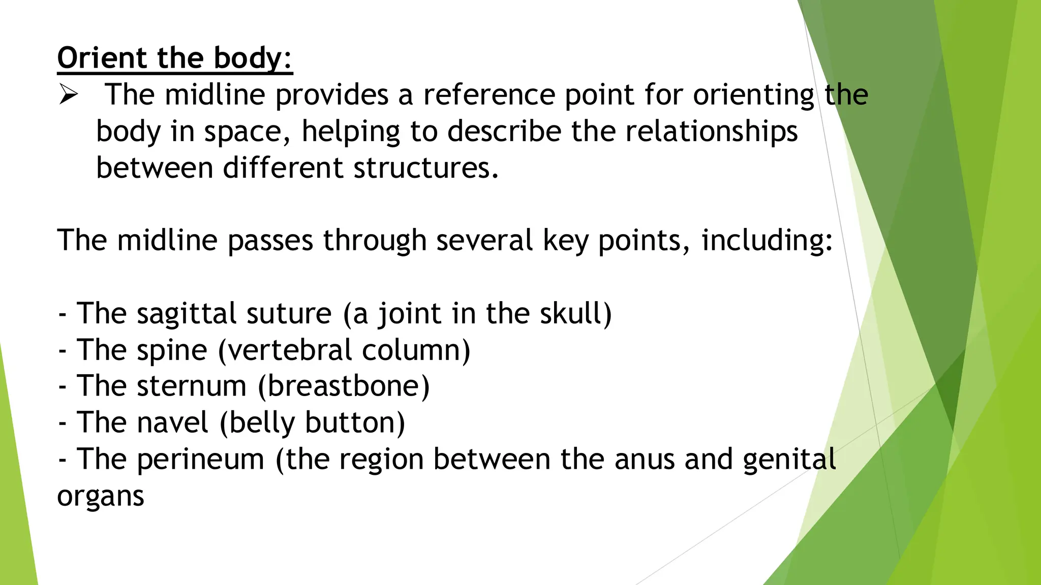 ANATOMICAL LINES. (medial and midline) | PDF