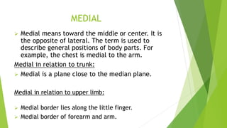 ANATOMICAL LINES. (medial and midline) | PDF