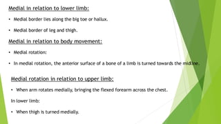 ANATOMICAL LINES. (medial and midline) | PDF