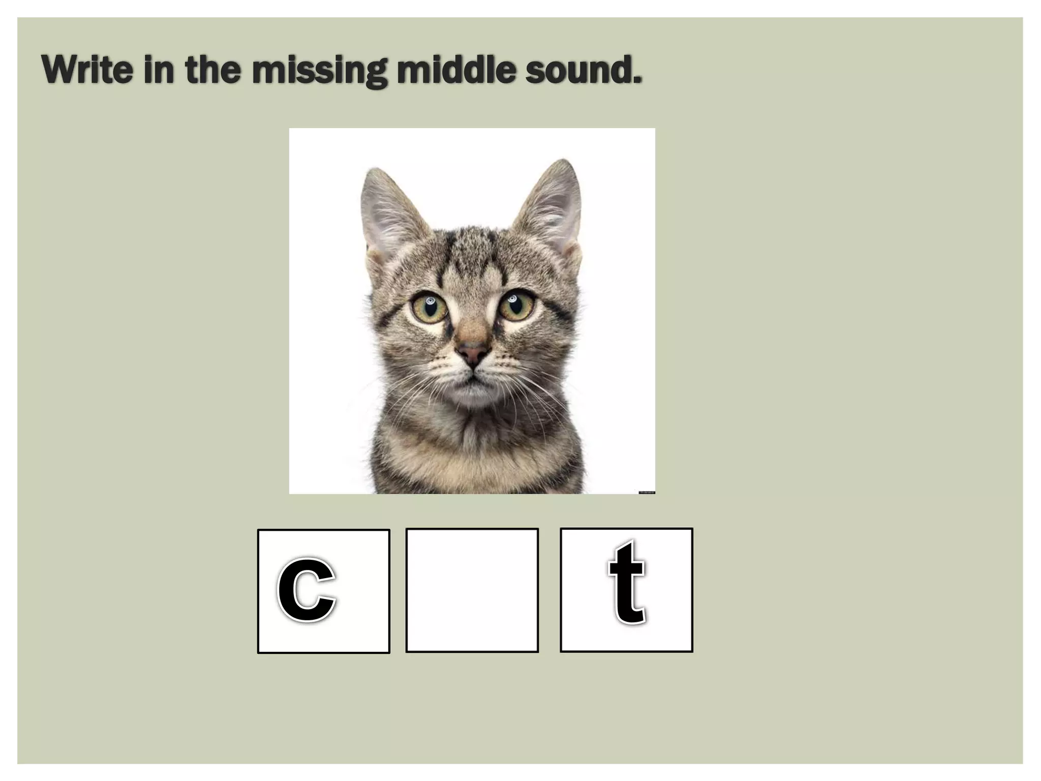 Medial sounds powerpoint pre primary | PPTX