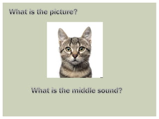 Medial sounds powerpoint pre primary | PPTX